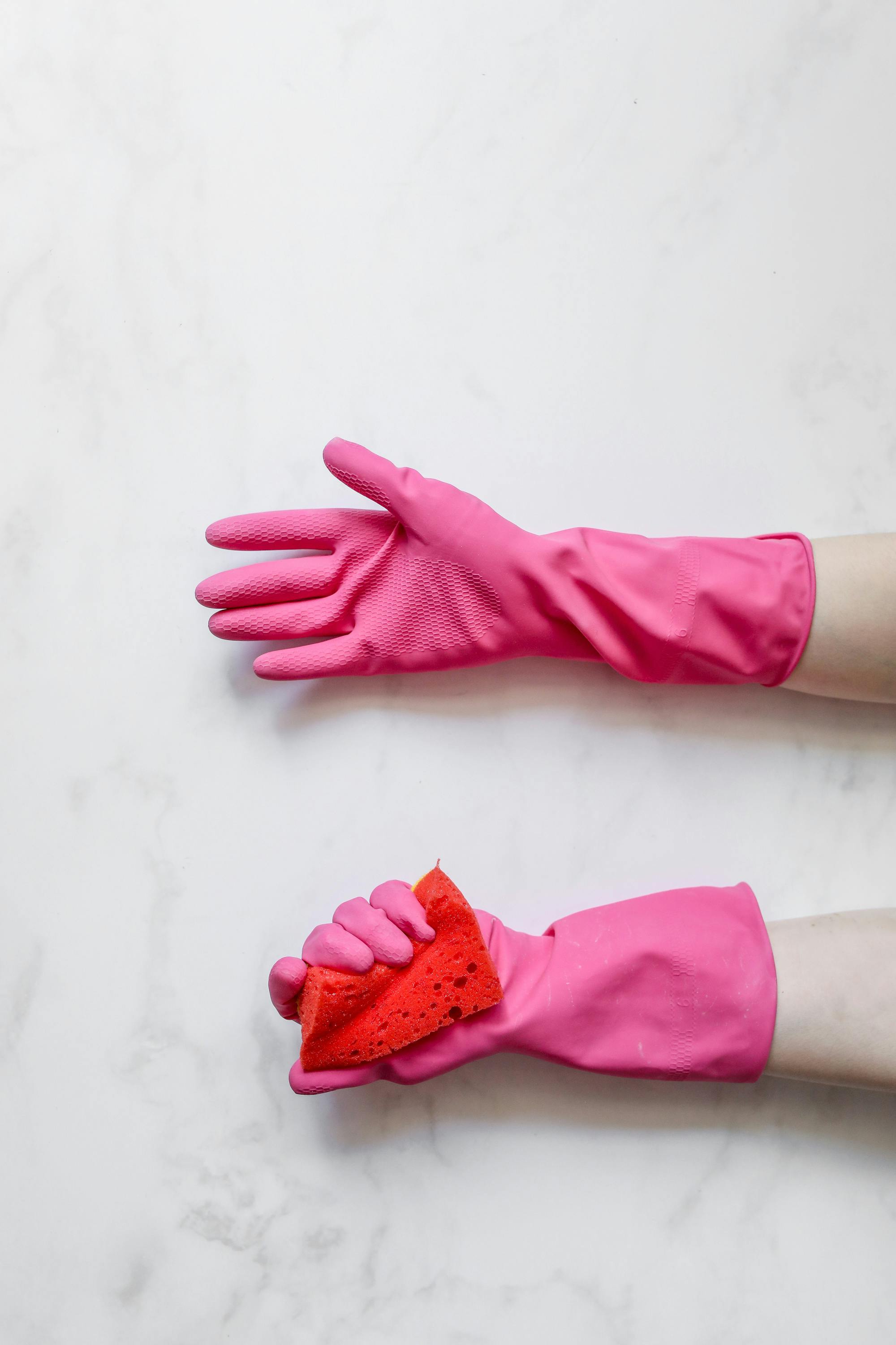 Sponges, Scrub Brushes & Scouring Pads – Smith's Sanitation Supply